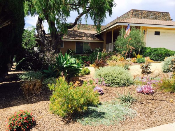 Chicweed Landscape Design - CW Design and Landscaping