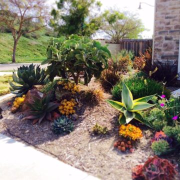 Chicweed Landscape Design - CW Design and Landscaping