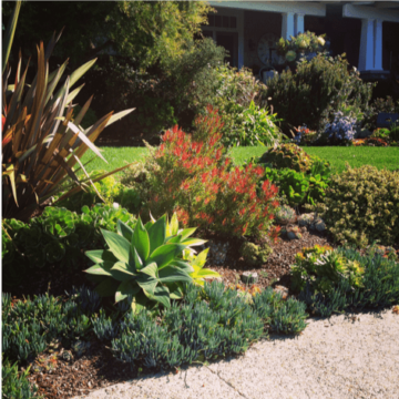 Gallery - CW Design and Landscaping