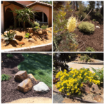 Gallery - CW Design and Landscaping