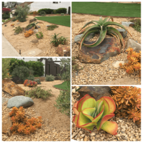 Gallery - CW Design and Landscaping